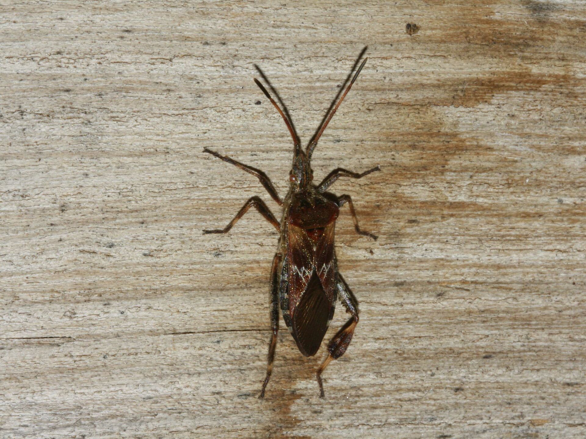 2016 - BUND Naturschutz in Bayern e.V.